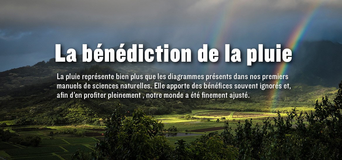 La bénédiction de la pluie | Le Monde de Demain