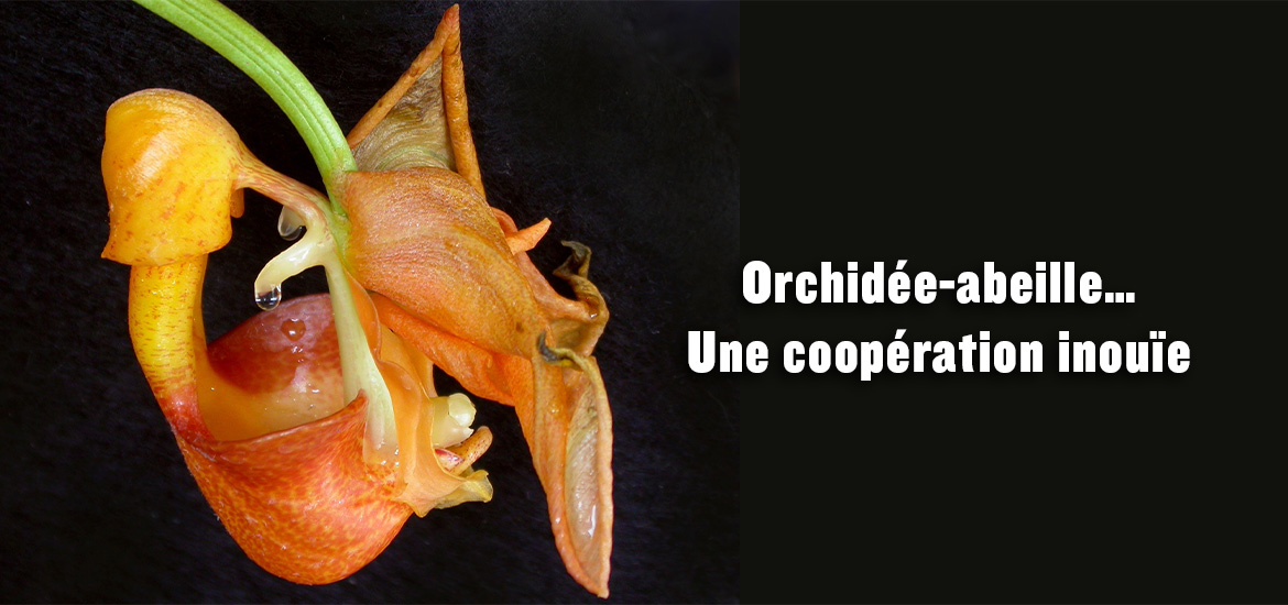 Une coopération inouïe | Le Monde de Demain