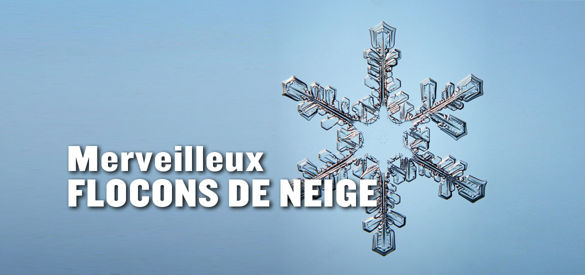 Merveilleux flocons de neige ! | Le Monde de Demain