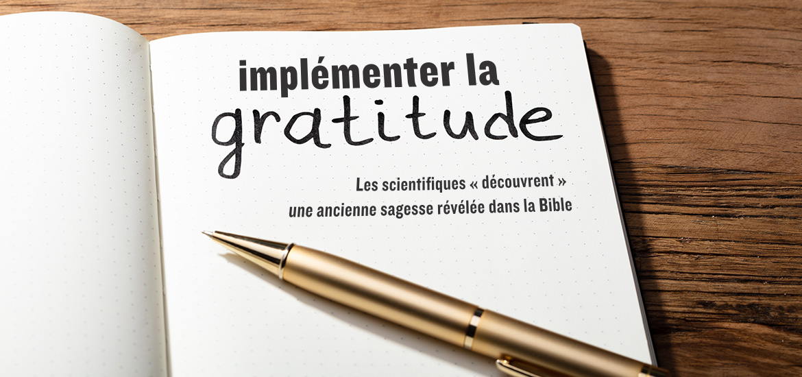 Implémenter la gratitude | Le Monde de Demain Implémenter la gratitude | Le Monde de Demain