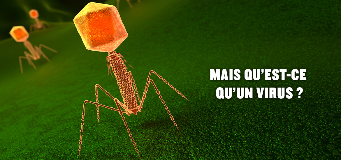 Mais qu’est-ce qu’un virus ? | Le Monde de Demain