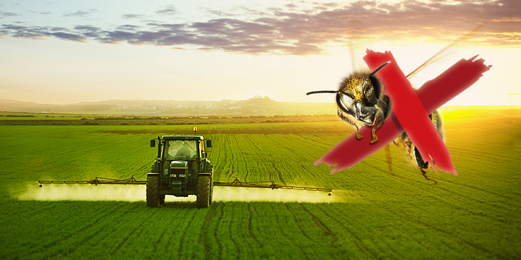 Utilisation d’engrais et déclin des abeilles | Le Monde de Demain
